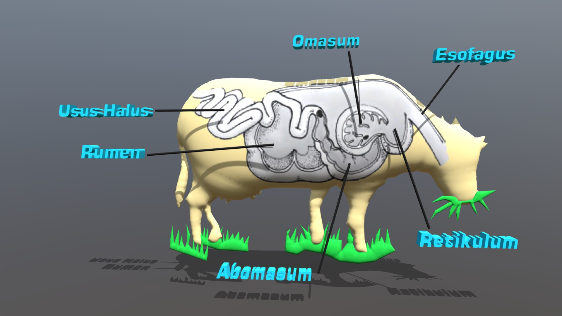 SAPI - 3D model by arrizalmy [75743af] - Sketchfab