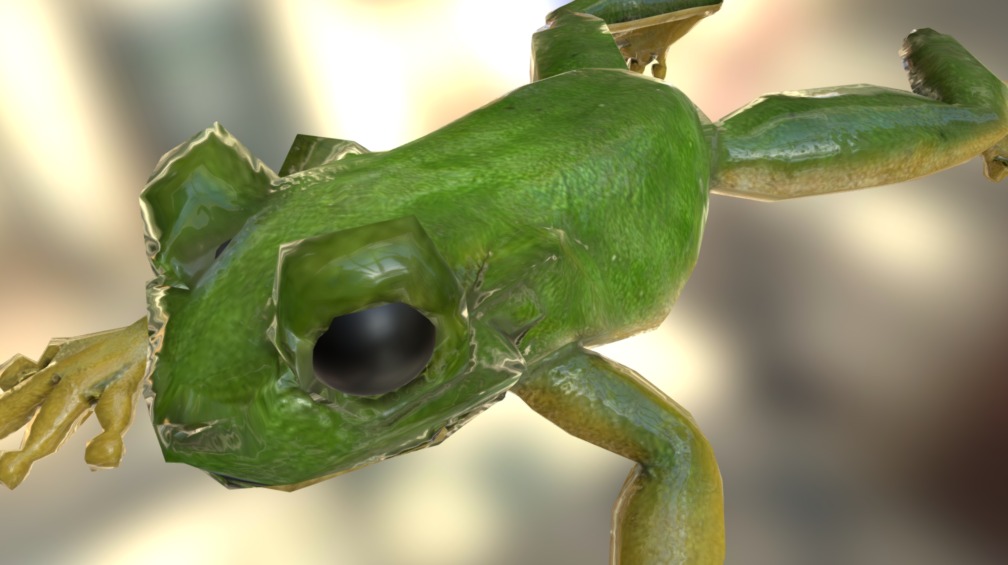 Flog - 3D model by hirotetsu [7574fd0] - Sketchfab