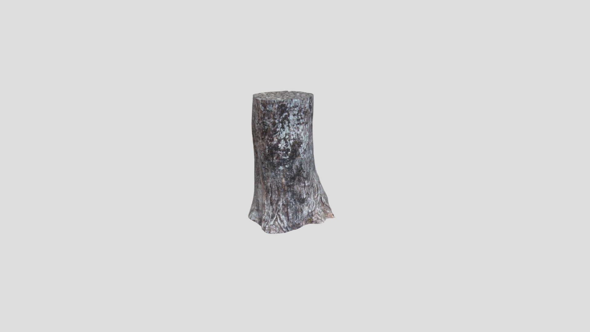Tree Stump Scan V2 - Download Free 3D model by makeitmovemedia [75841dc ...