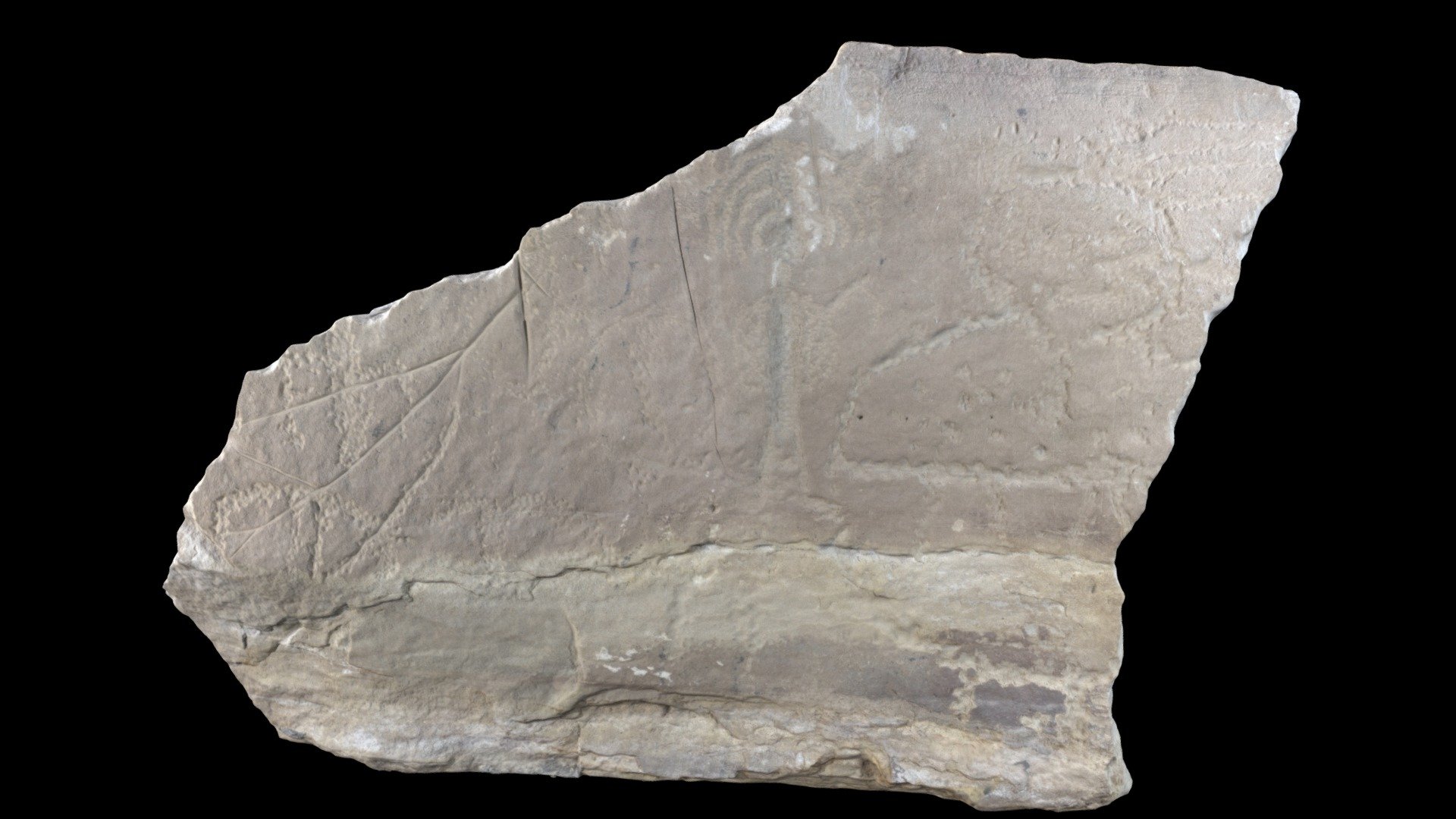 48BH92 - Fragment 1 - 3D model by University of Wyoming Libraries ...
