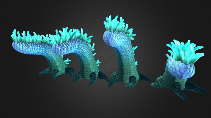 Anemone 3D models - Sketchfab