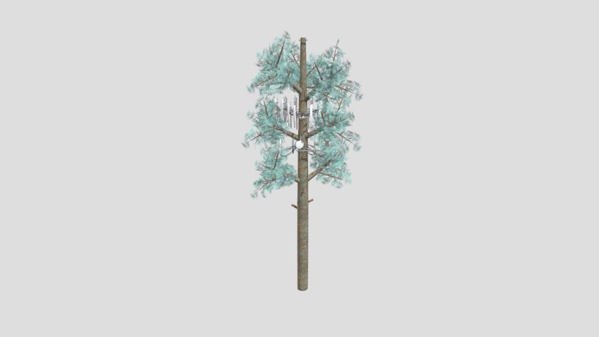 Tree_Export2 - Download Free 3D model by ben.dosage [7595823] - Sketchfab