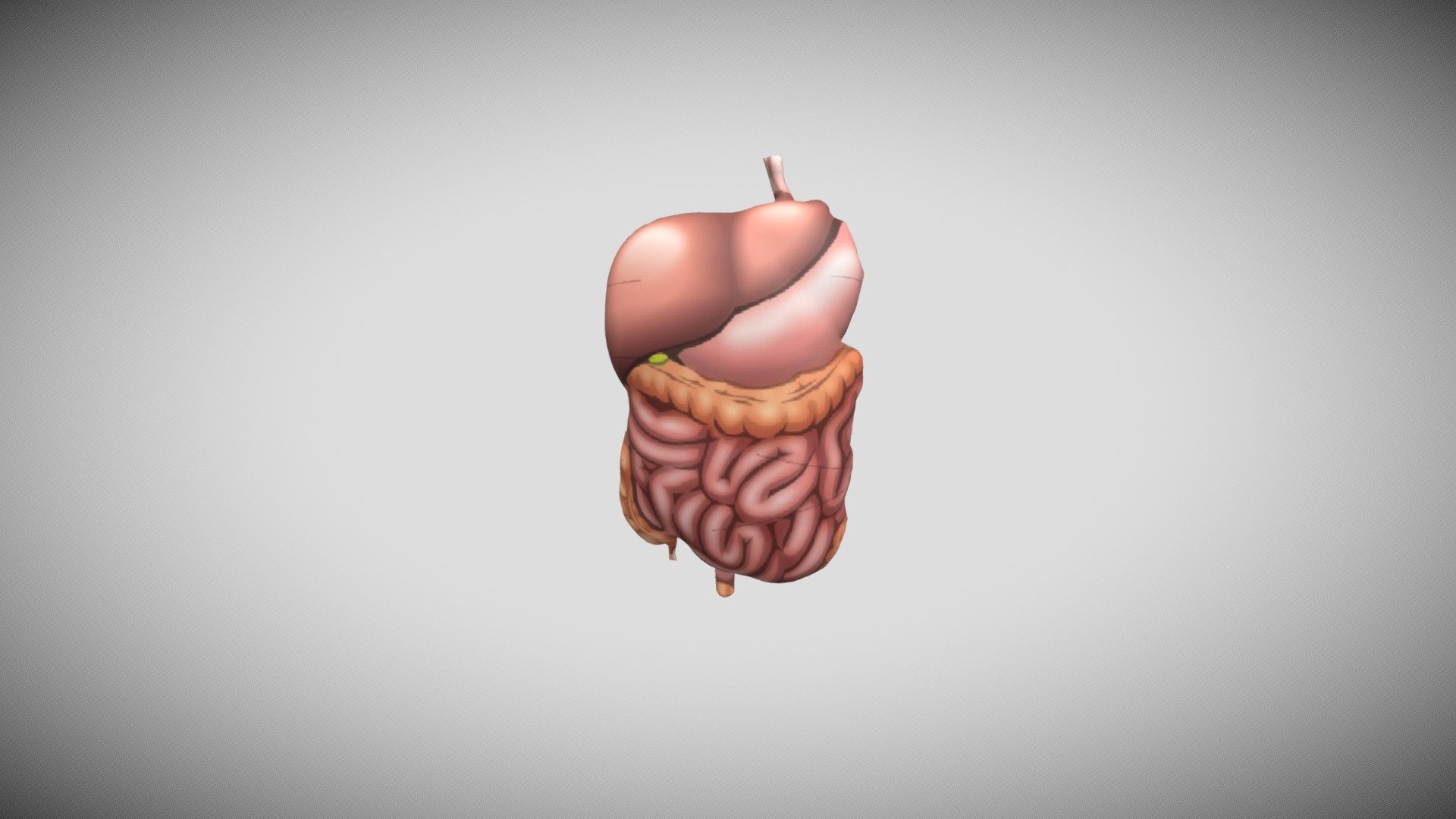 3D JEROAN (1) - 3D model by FITRI ARFIANITA (@dreamer2127) [759ad40 ...