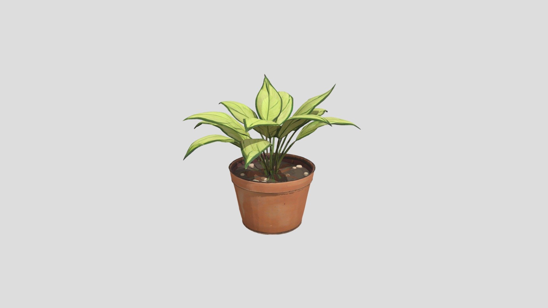 Potted Greenery - 3D model by RMariepxo [759ad9e] - Sketchfab