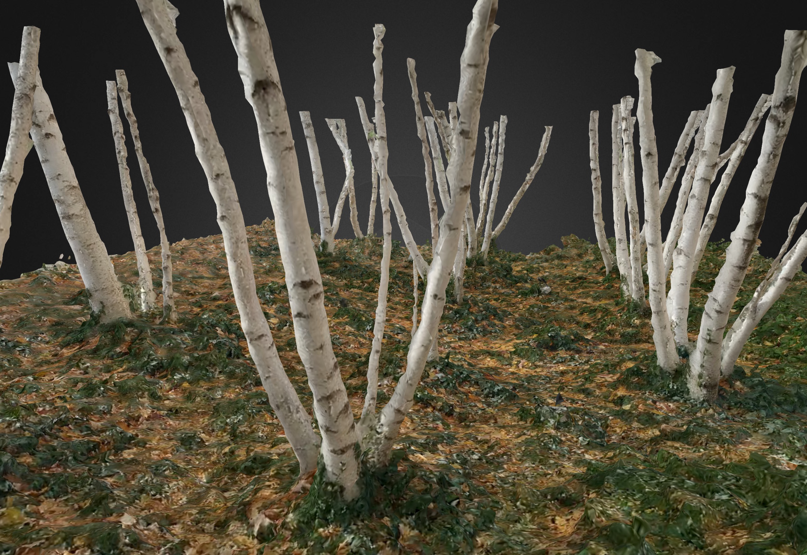 mia birch grove [truncated] - 3D model by brain_____heart [759e9bc ...