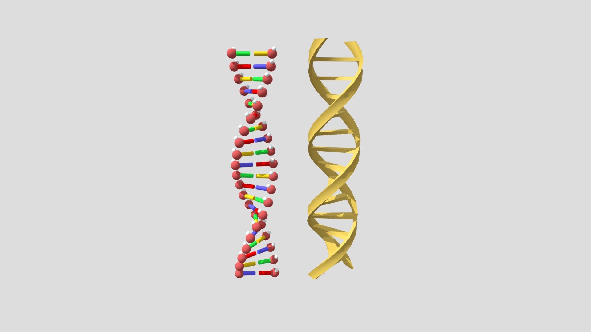 dna_colored_varieties - Download Free 3D model by AnuJumde [759f3cc ...