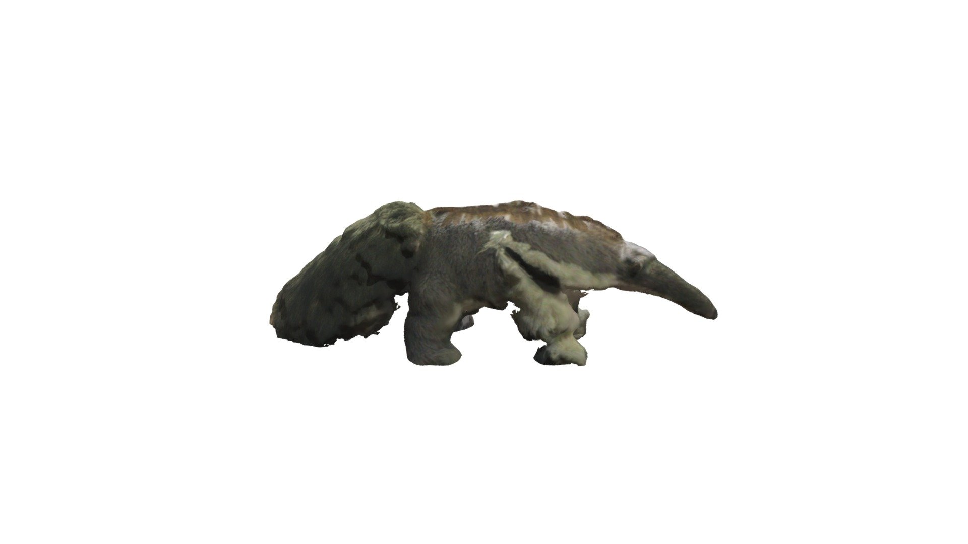 anteater - 3D model by yona (@yonatanmanevich) [75a10b6] - Sketchfab