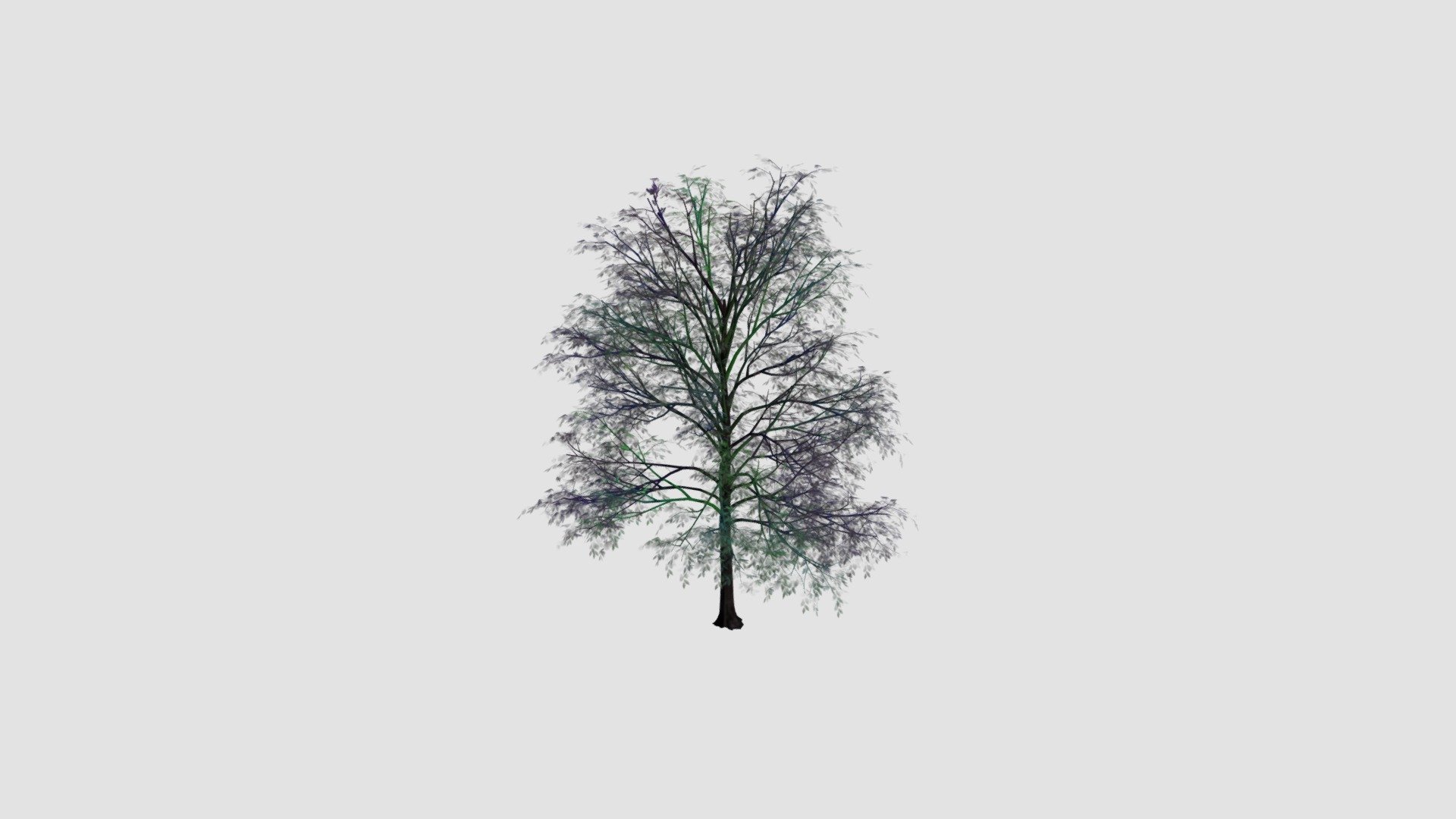 Tree - Buy Royalty Free 3D model by Evermotion [75abbbe] - Sketchfab Store