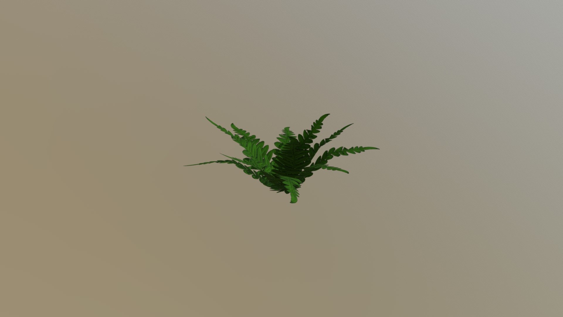 Little Fern - 3D model by enricoleasa [75ad3cc] - Sketchfab