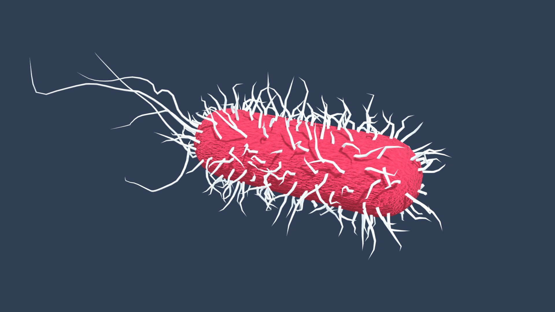 Bacterium - Download Free 3D model by andrewfrueh [75ae189] - Sketchfab
