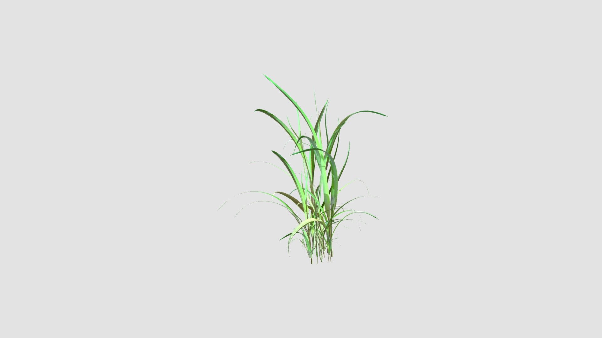 simple grass - Buy Royalty Free 3D model by Evermotion [75af8e0 ...