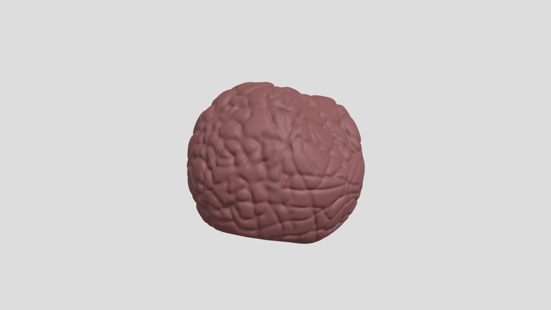 Brain coral - 3D model by kaanoi4 [75b4a8f] - Sketchfab