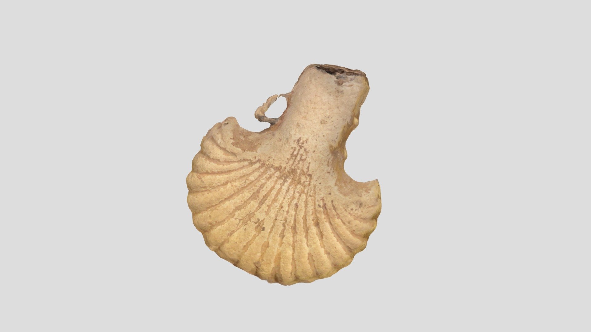 WMID-CA0583 Medieval Ampulla - Download Free 3D model by ...