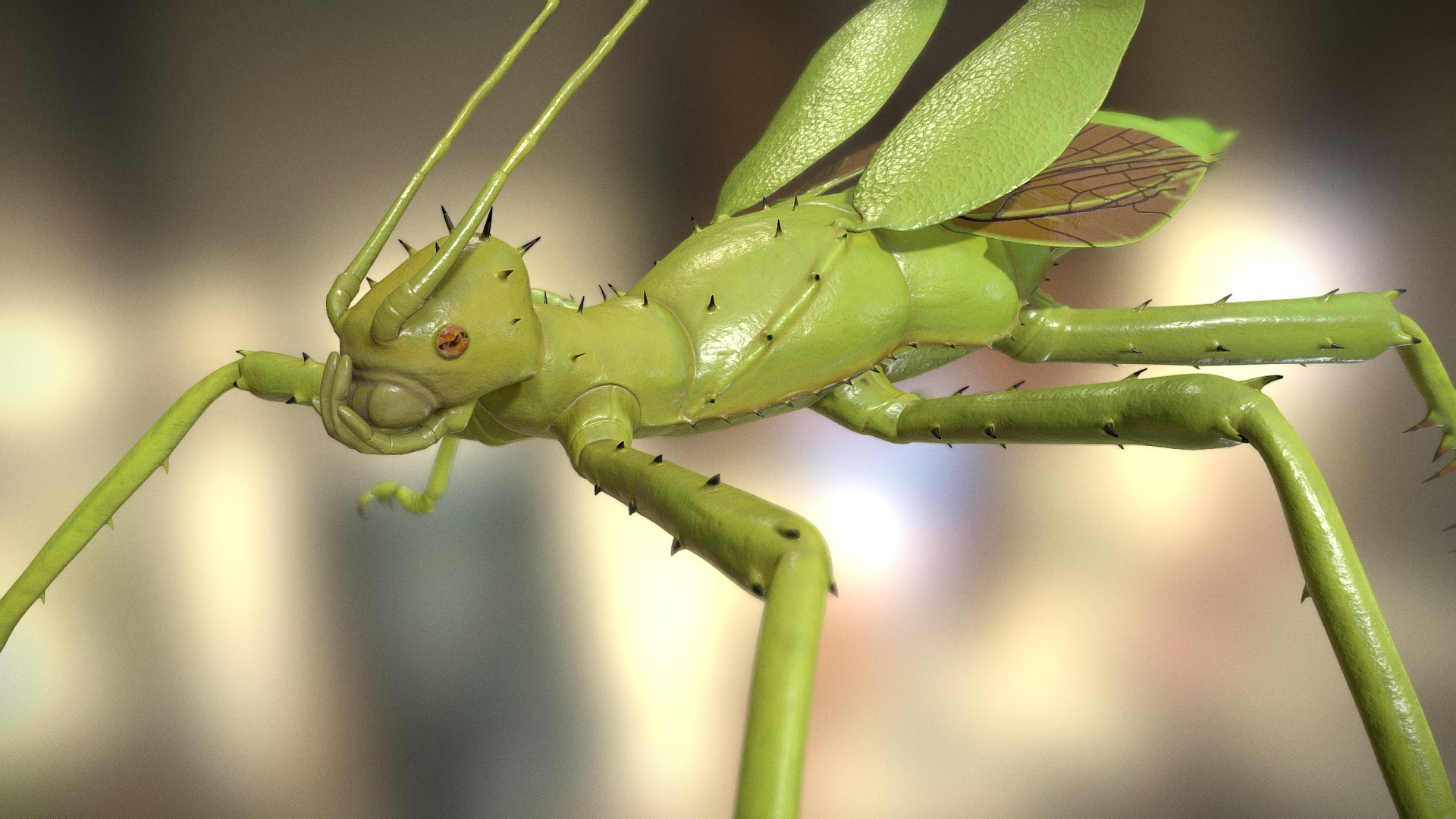 Jungle Nymph - 3D model by 3dsam79 [75bbda5] - Sketchfab