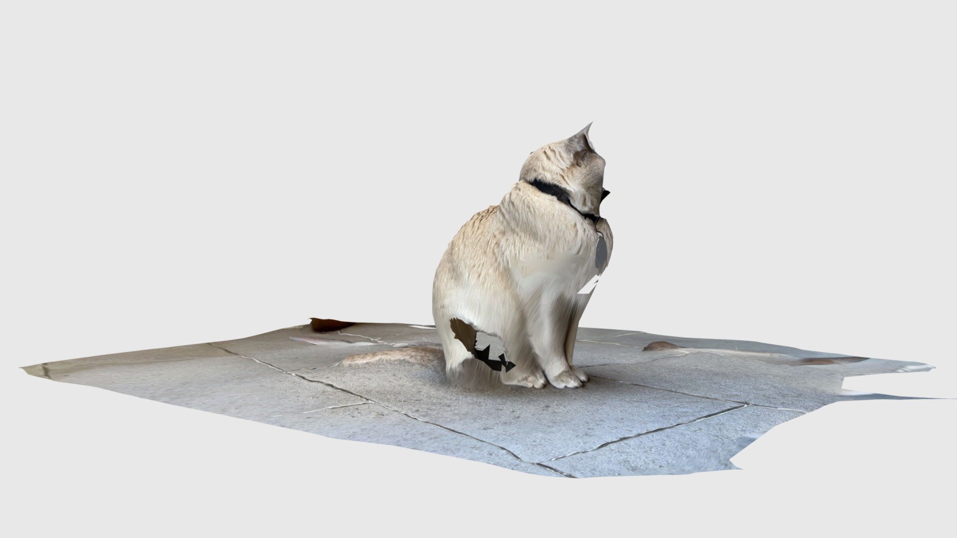 Horacio - 3D model by Pearl Hyacinth (@pearlhyacinth) [75beb04] - Sketchfab