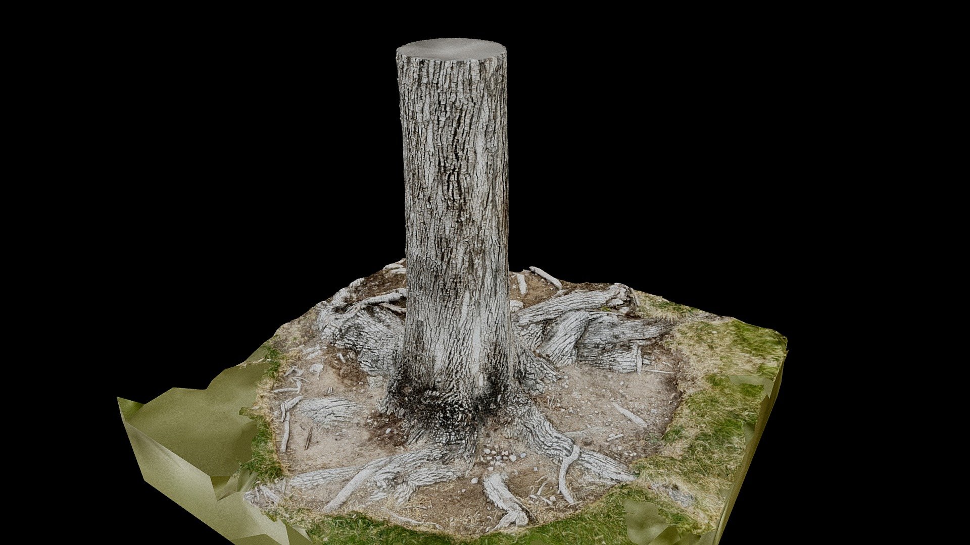 Tree Trunk & Roots Weathered Gray 01 - Download Free 3D model by ...
