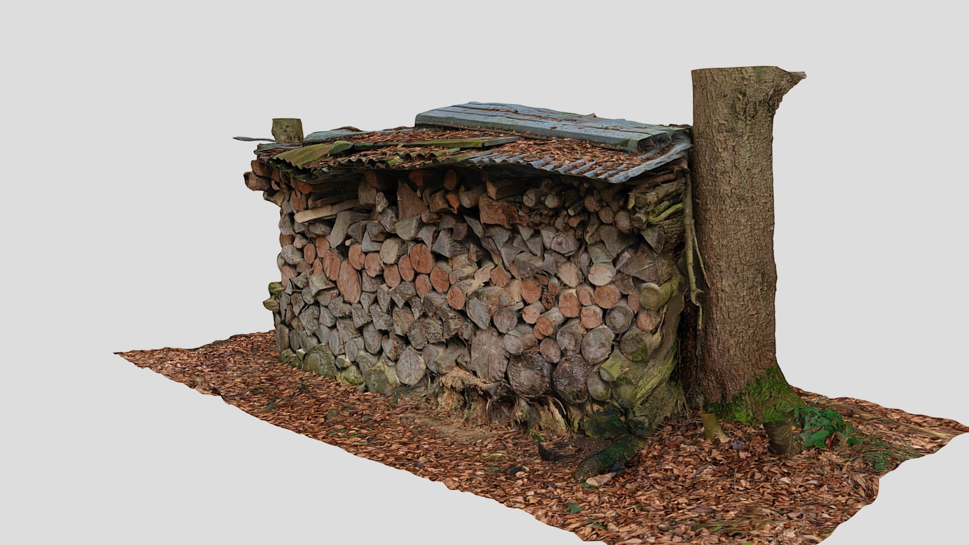 Pile of wood 8k scan 003 - Buy Royalty Free 3D model by immerge ...