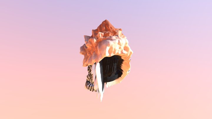 Heterogeneous 3D models - Sketchfab