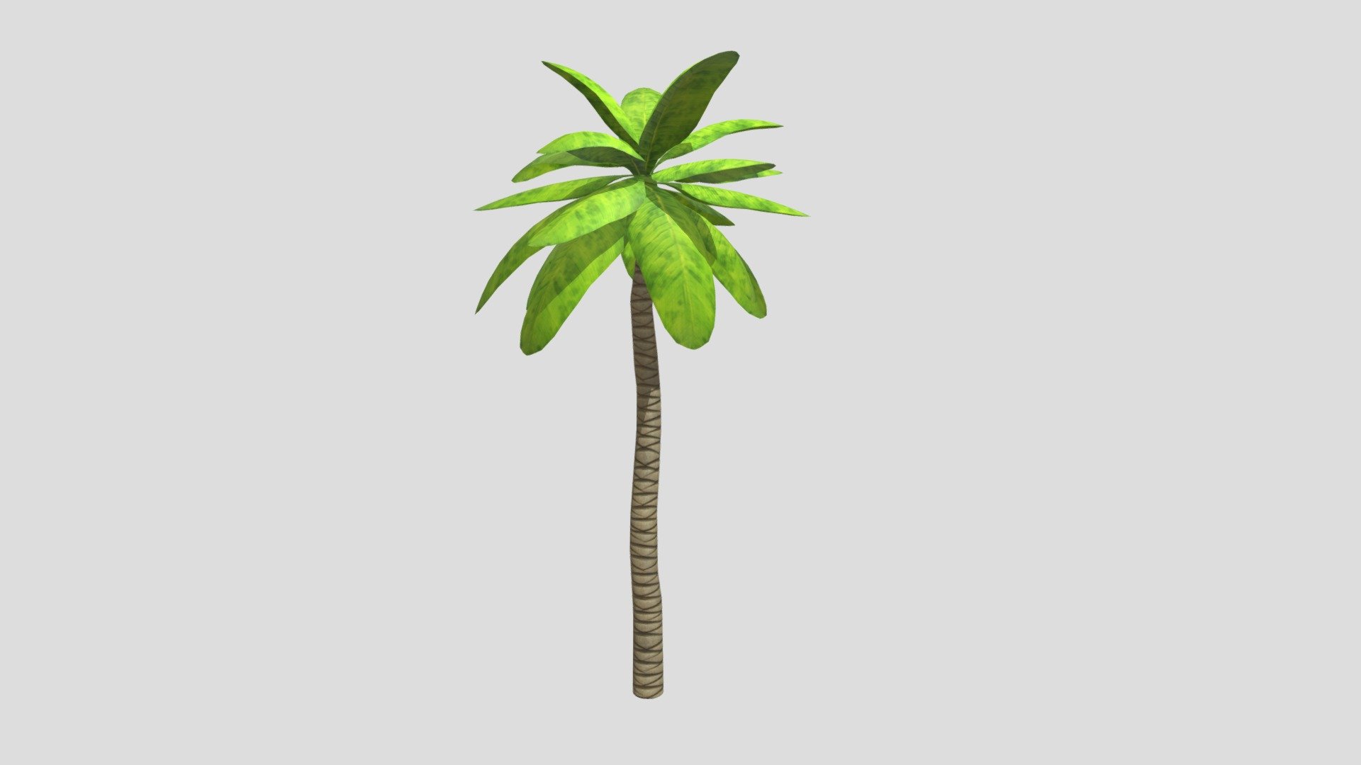 Palm Tree - Download Free 3D model by Edgardo Velazquez (@thevelazquez ...