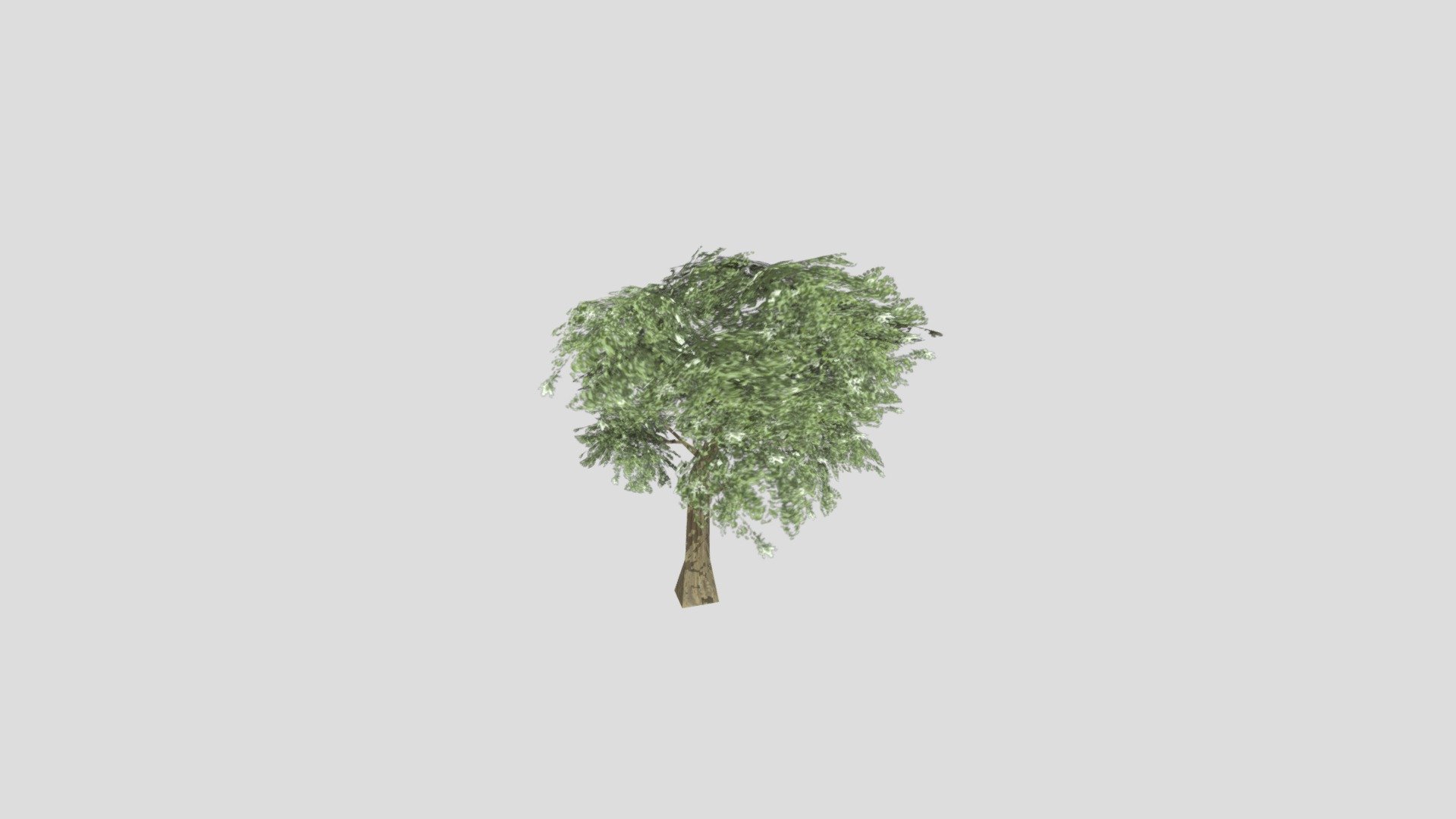 Tree_Model - 3D model by Crois (@Croisx) [75d4f71] - Sketchfab