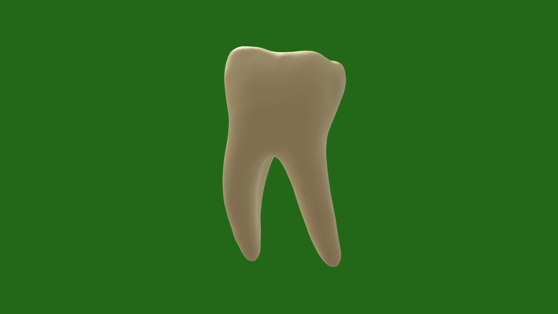 Wumdentistry_tooth_36 - Download Free 3D model by wumdentistry [75dcba0 ...