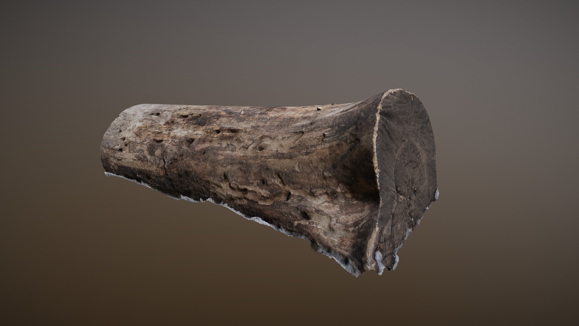 Wood log (test scanning) - 3D model by Andrew_Wells (@Andrey_Gorgulko ...