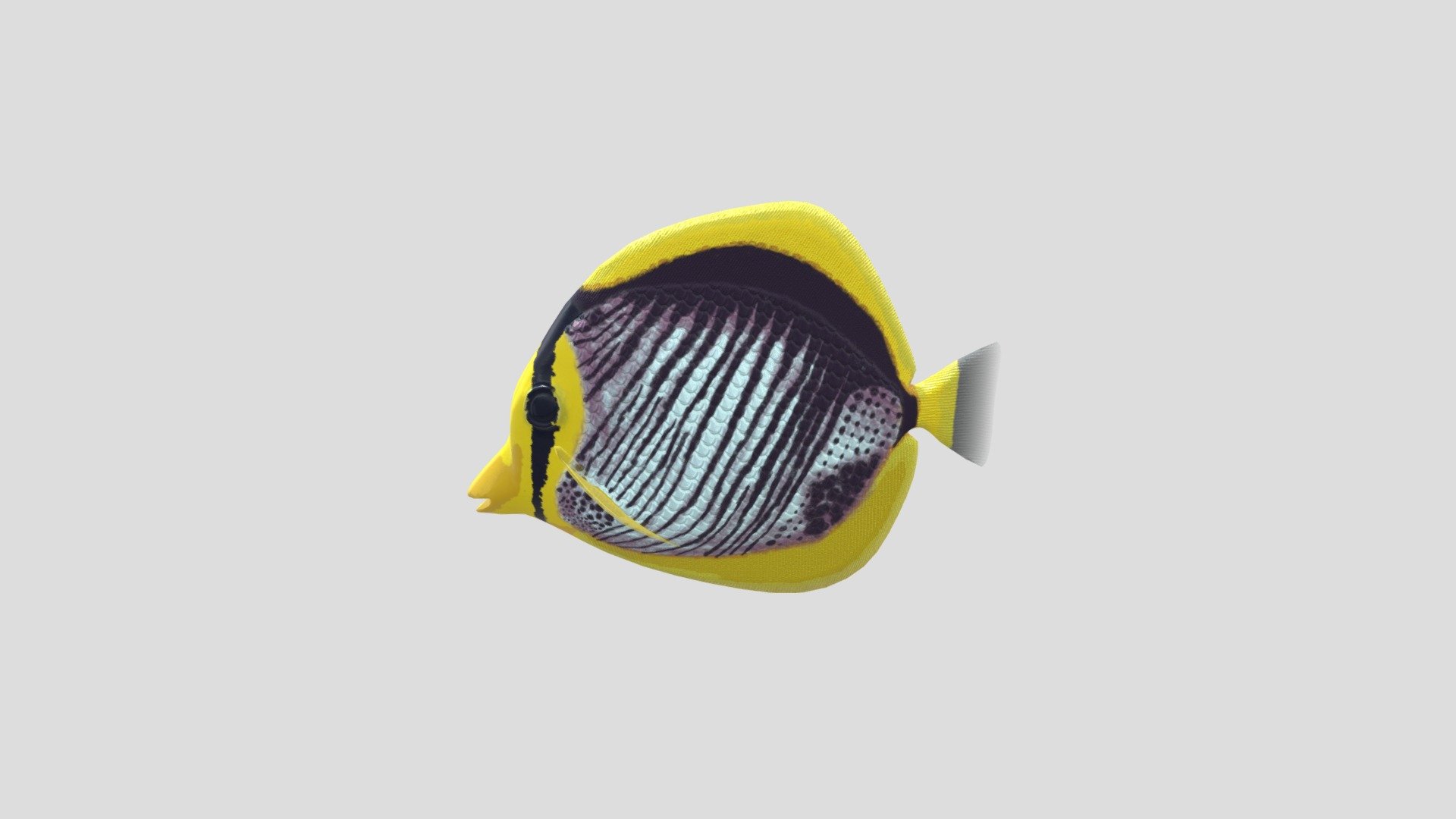 Fish - 3D model by 5avery [75dfde6] - Sketchfab