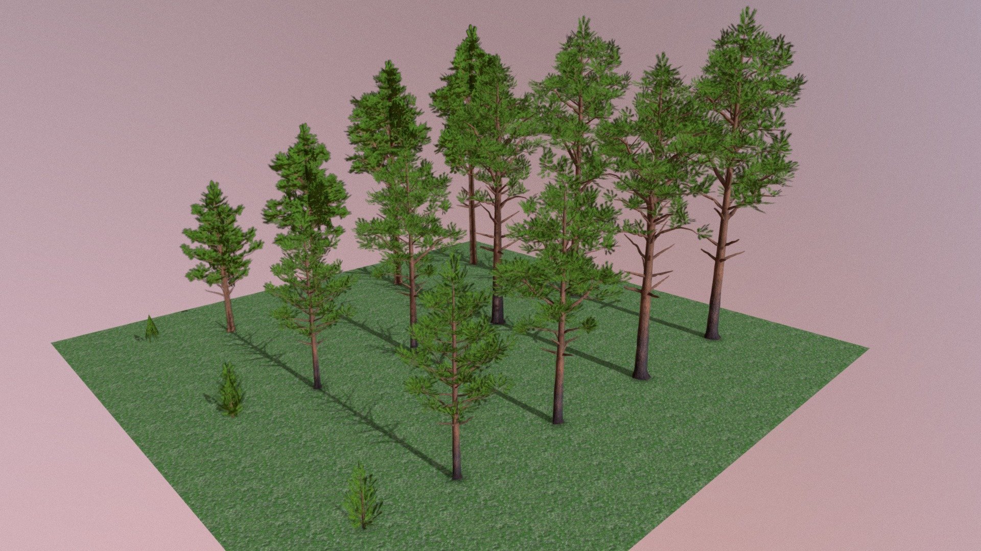 Pine Pack - 3D model by creator_t [75e005e] - Sketchfab