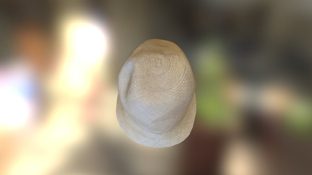 Quick hat scan - 3D model by andrew.maurer [75e5d3a] - Sketchfab