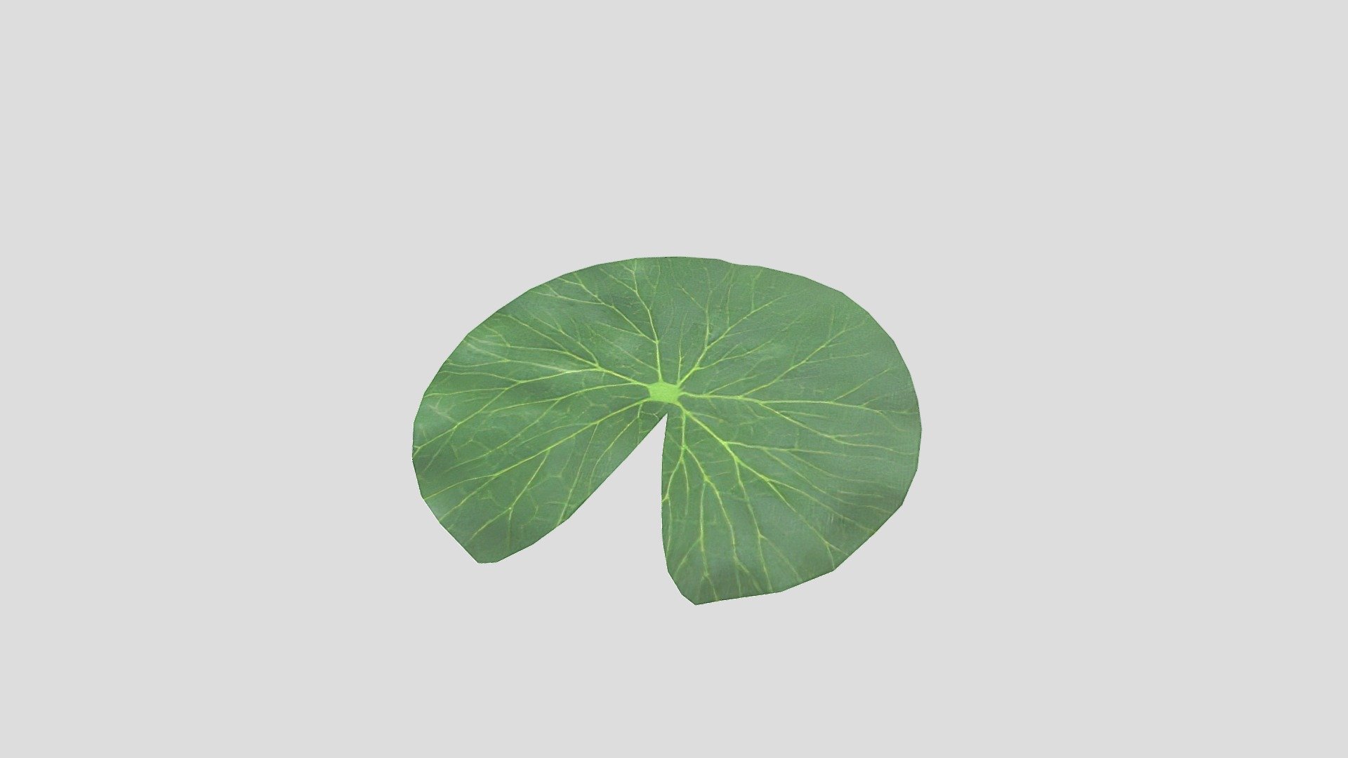 Low poly lily pad - 3D model by zero334 [75e631e] - Sketchfab