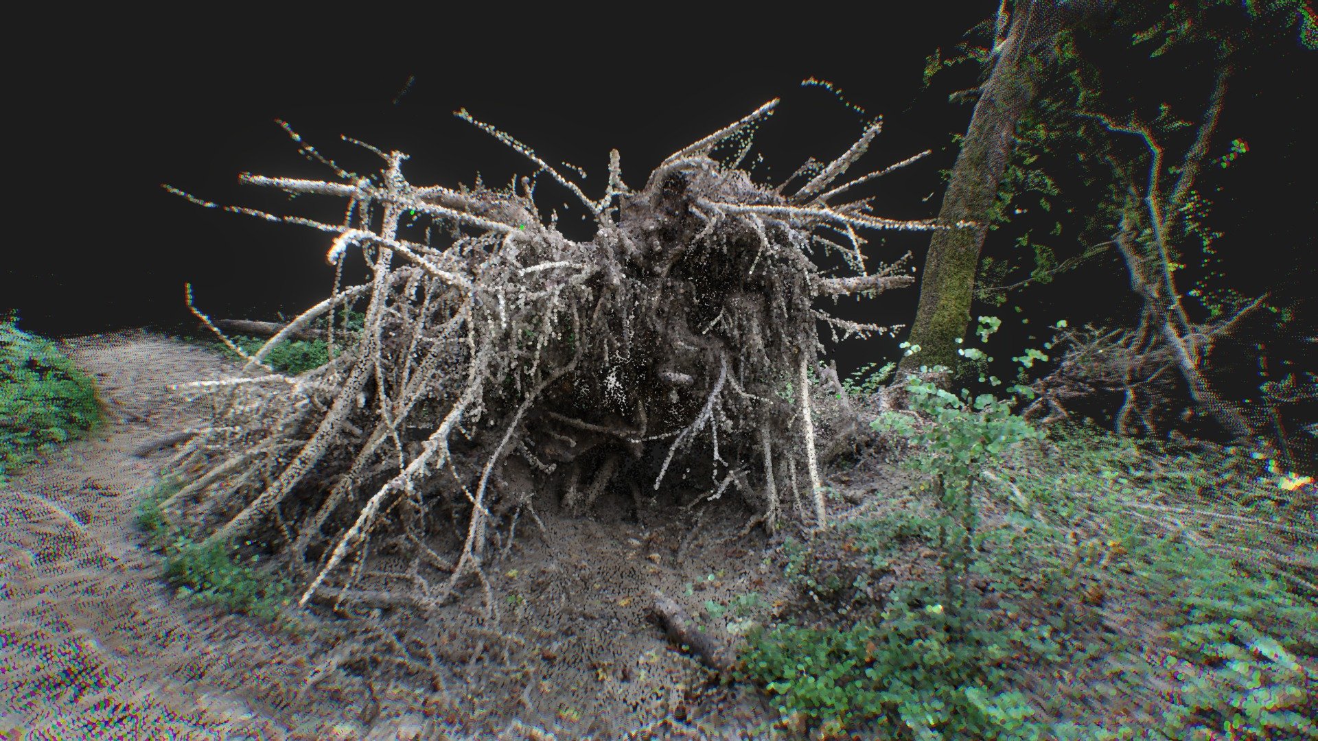 Fallen Tree - 3D model by Kazi (@adishakti) [75e6787] - Sketchfab