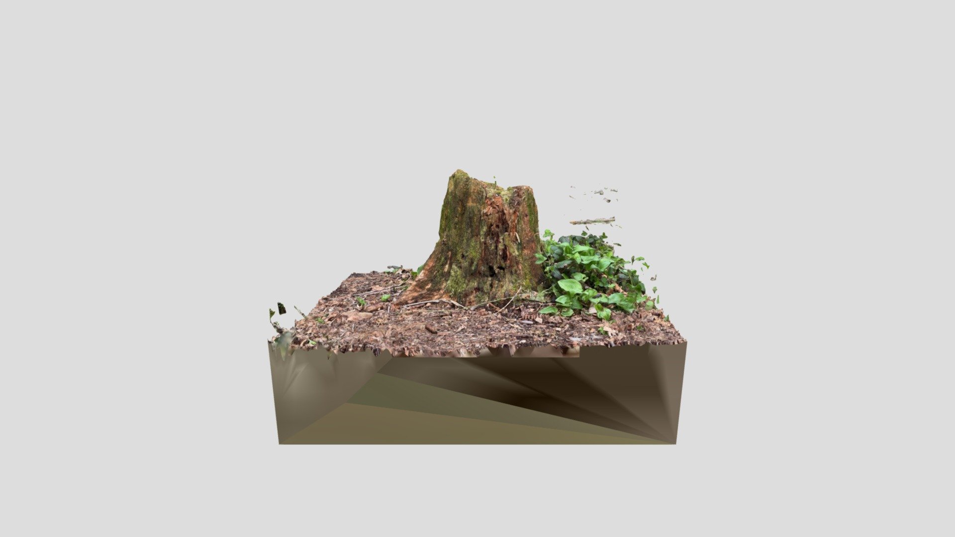 Tree Stump - Small - Download Free 3D model by David.Tveraas [75ece39 ...