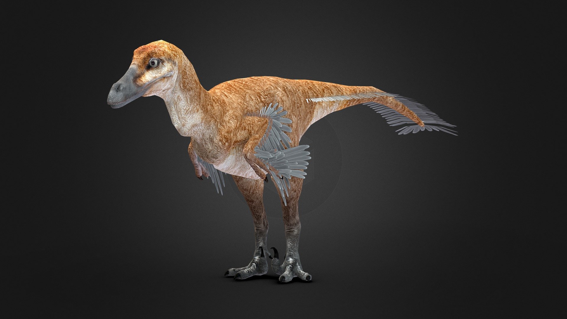 Velociraptor mongoliensis - Rigged - Buy Royalty Free 3D model by Iofry ...