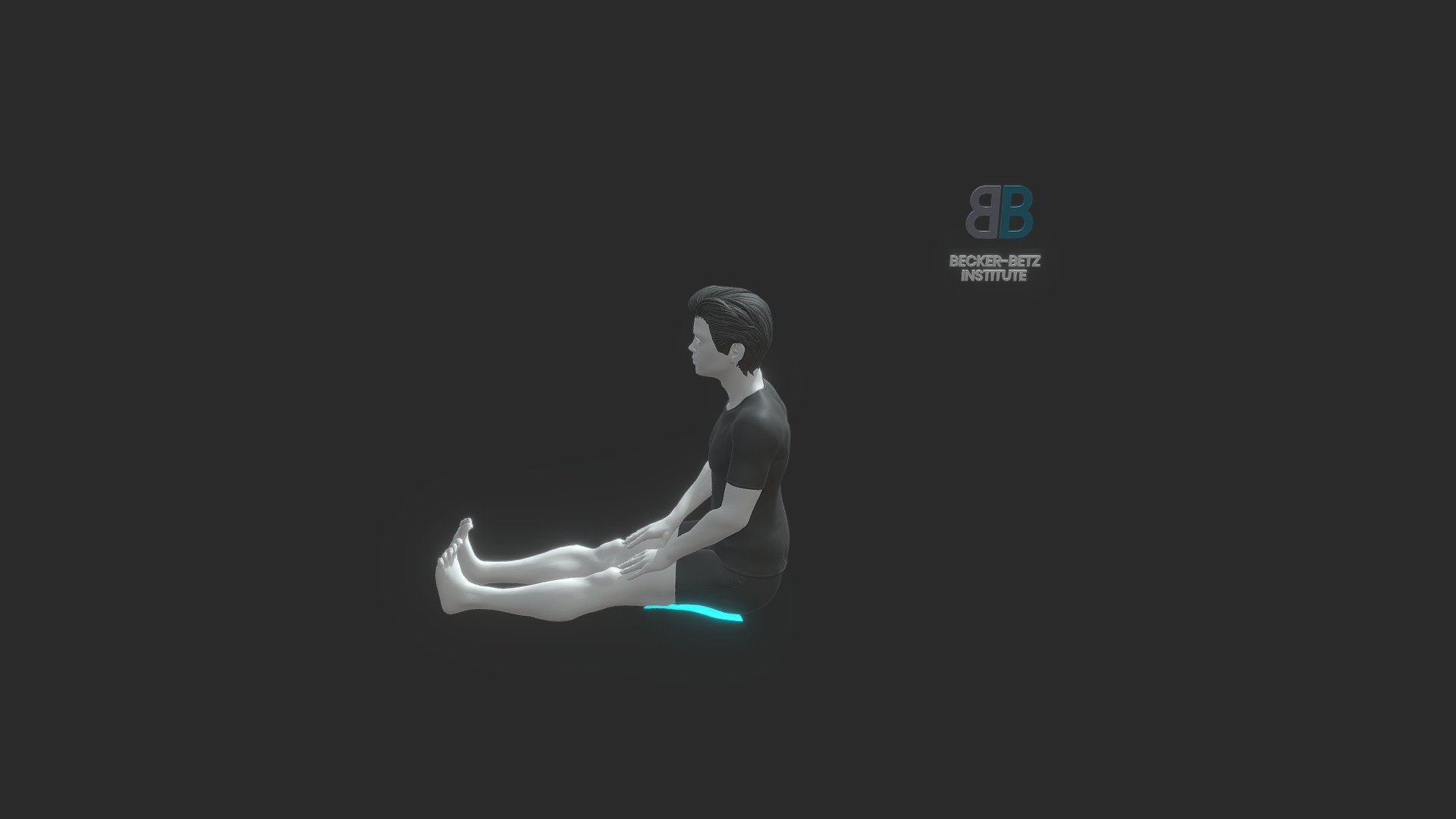 Hamstrings_8_MAN - 3D model by BeckerBetz [75f7912] - Sketchfab