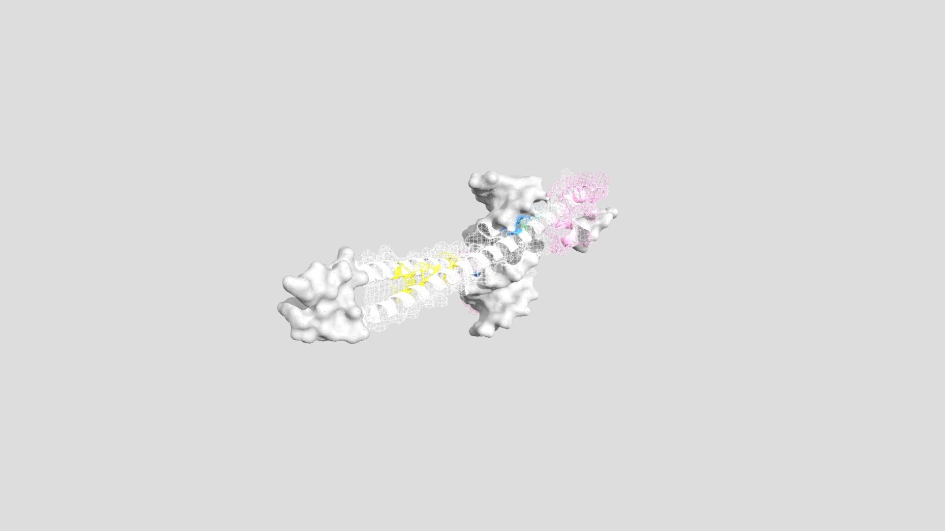 MafG-DNA Complex - annotated - 3D model by izzieora [75f86db] - Sketchfab