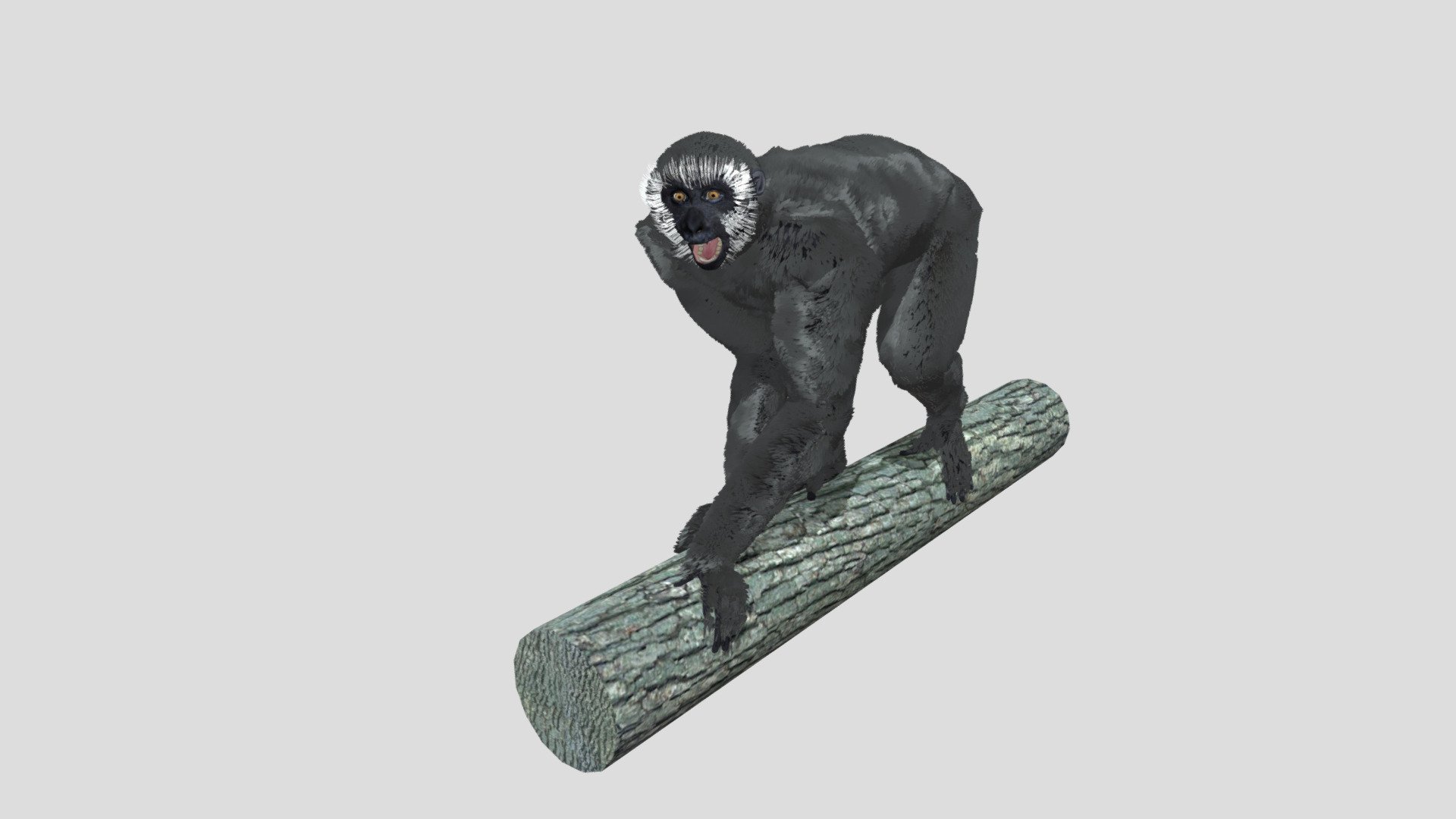 Pliopithecus - 3D model by evolution.biologique [75fc8d4] - Sketchfab