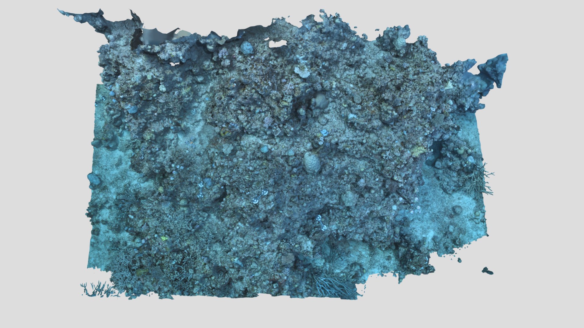 Davies_BA2D_P2_202201 - 3D model by EcoRRAP (@AIMSEcoRRAP) [75fcdd6 ...