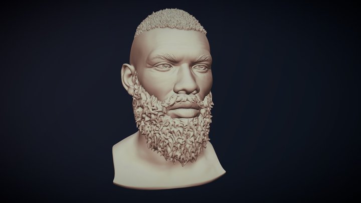 Beard 3D models - Sketchfab