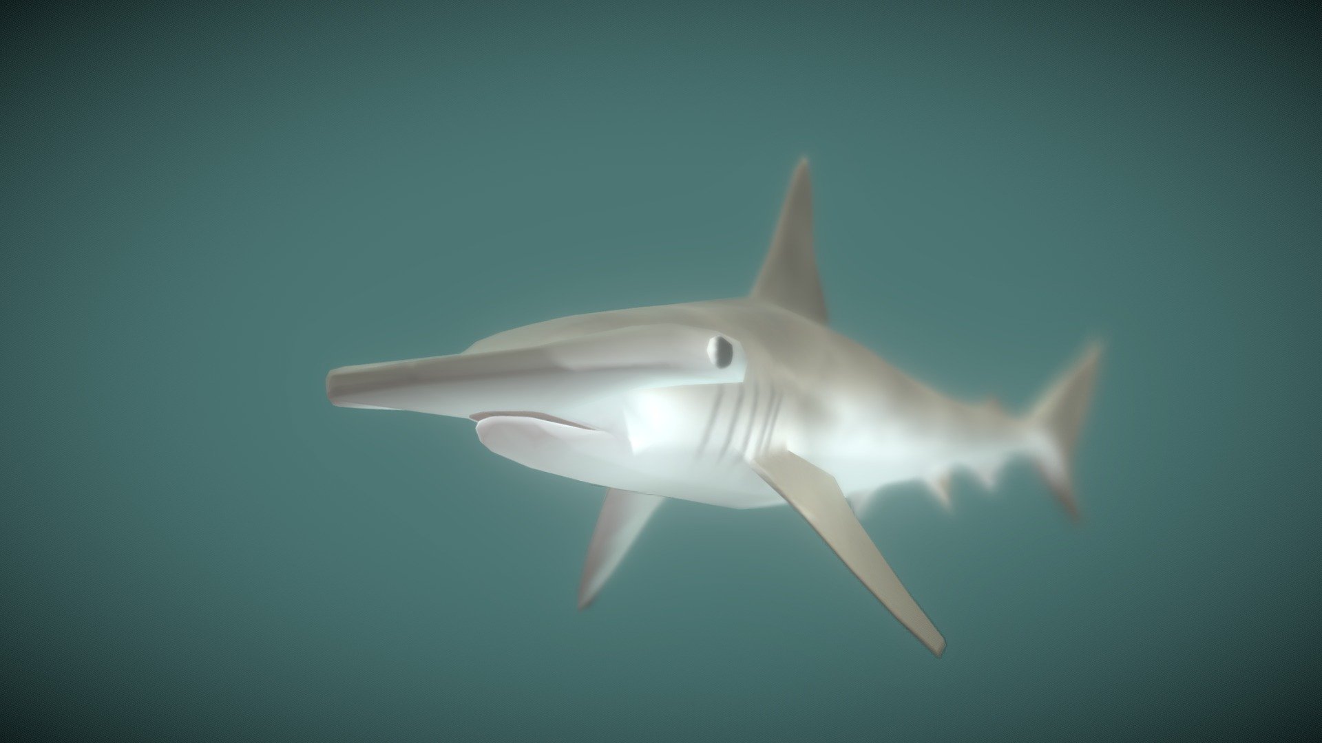 Smooth Hammerhead - 3D model by CatfishYAY [7605521] - Sketchfab