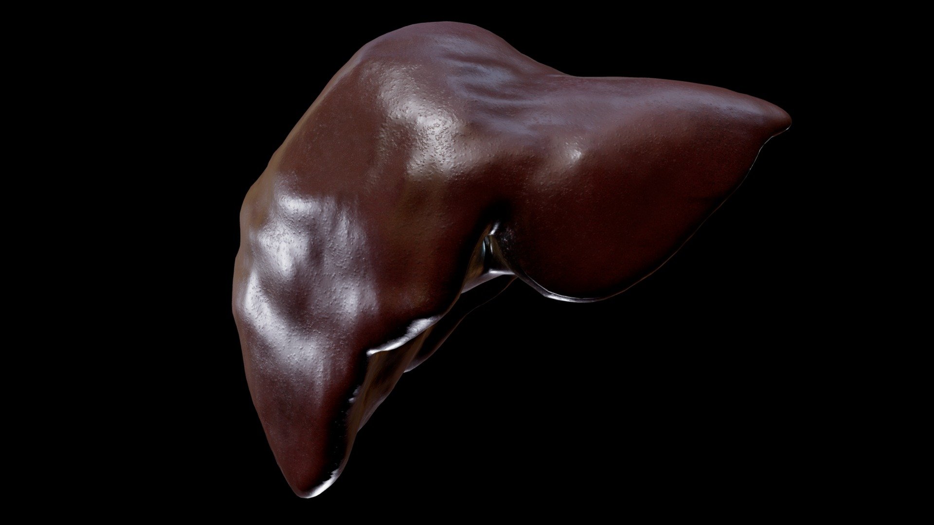 Liver - 3D model by Anatomy3D (@medmbbs) [76077d3] - Sketchfab