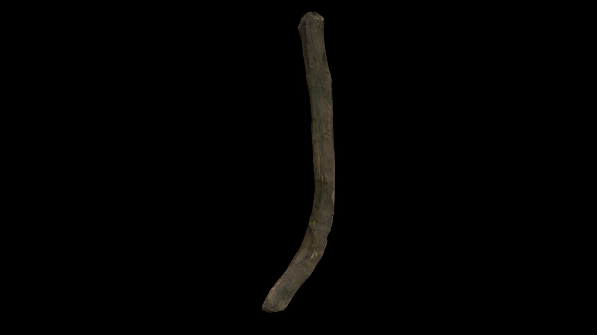 POOMS-2021_247_57 (12) - Download Free 3D model by bu_maritimearch [760c4ba] - Sketchfab