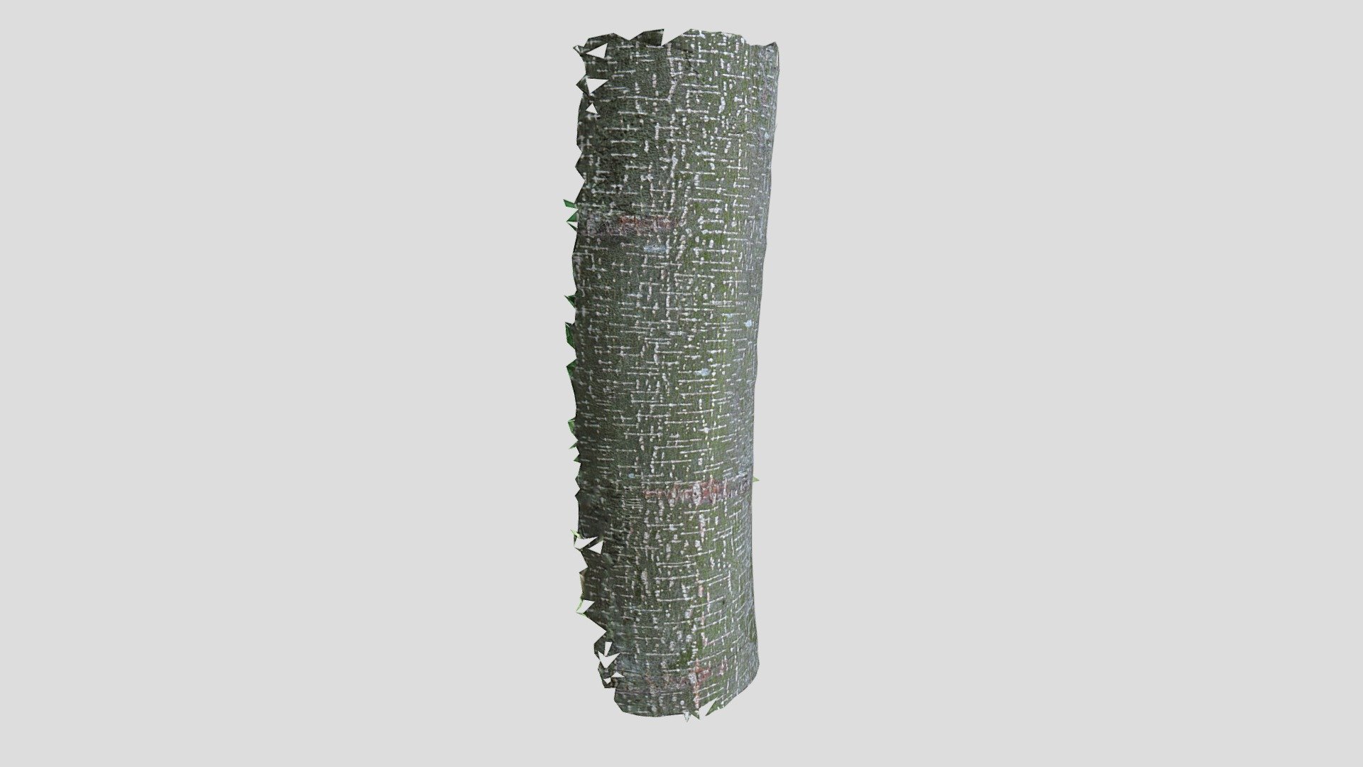 3d birch bark low poly 2K - 3D model by v.klein [7611a3d] - Sketchfab