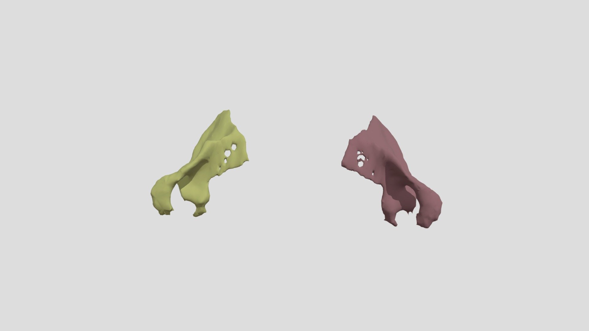 Female Scapula - Download Free 3D model by laurendvorchak [7615569 ...