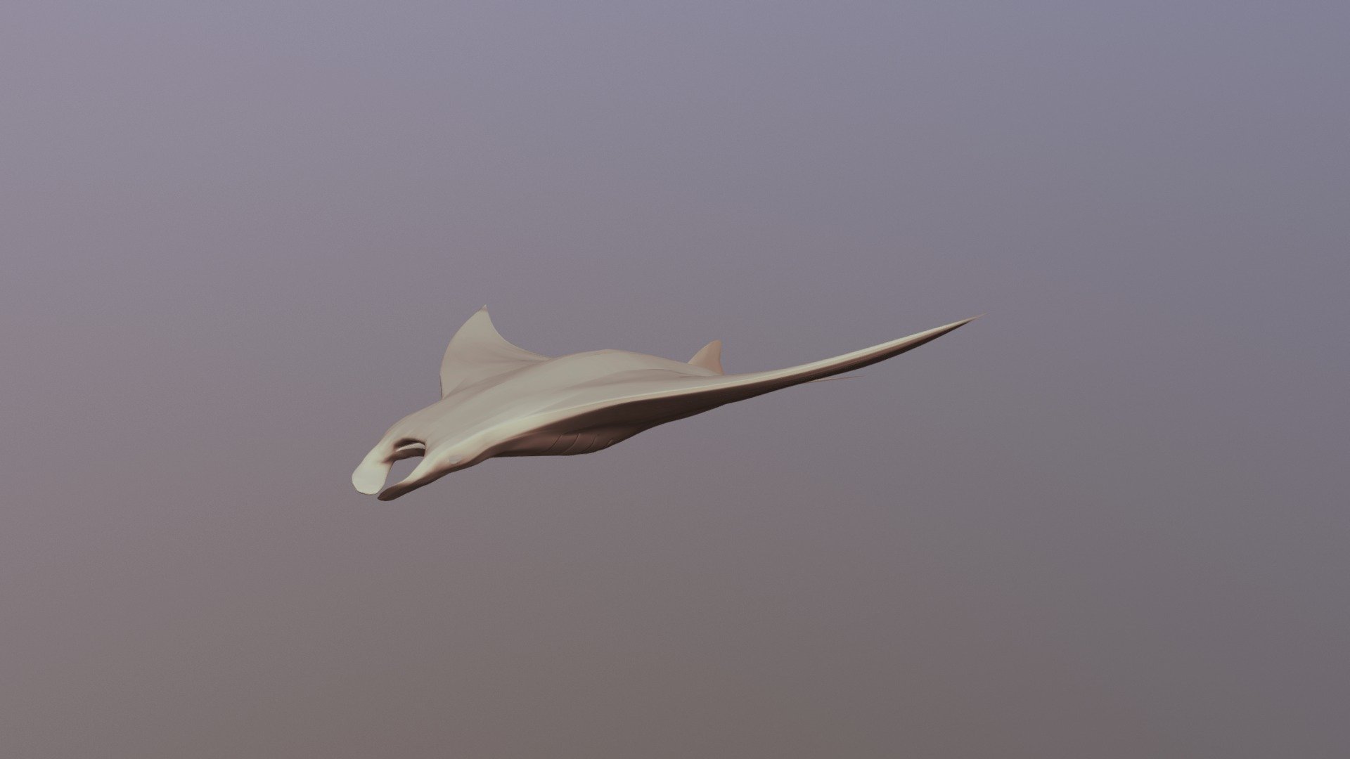 Jamanta / Mobula Tarapacana - 3D model by pedrmq [7627110] - Sketchfab