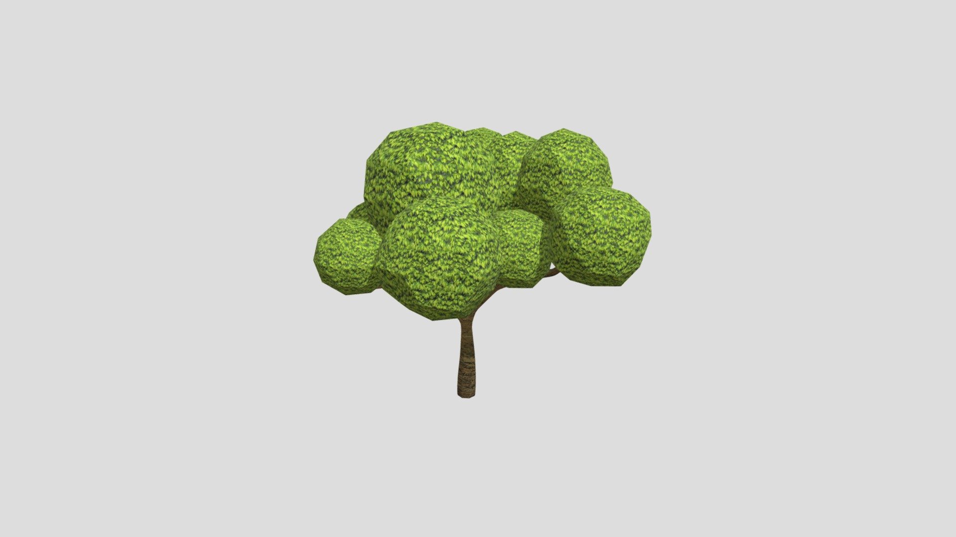 Tree - 3D model by Tord-Elias [7628f76] - Sketchfab