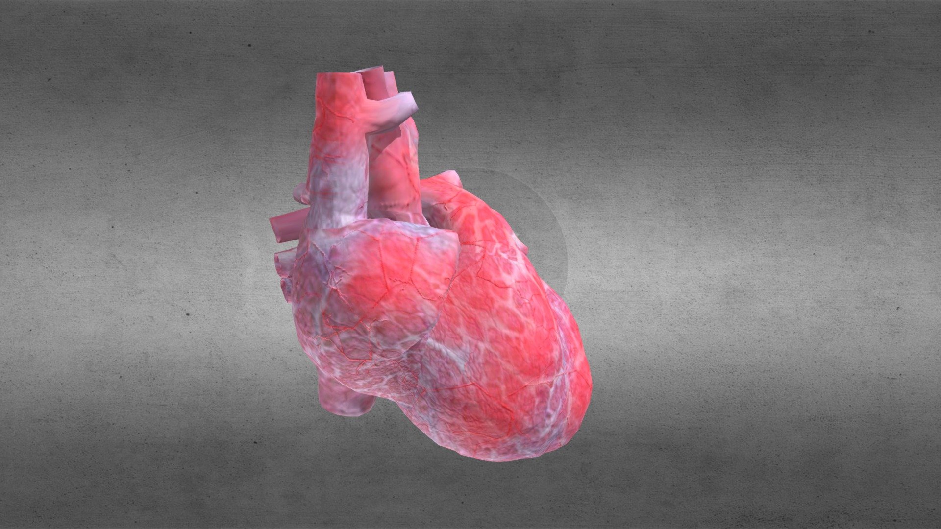 Heart - 3D model by Basavanna (@basavanna426) [762f998] - Sketchfab