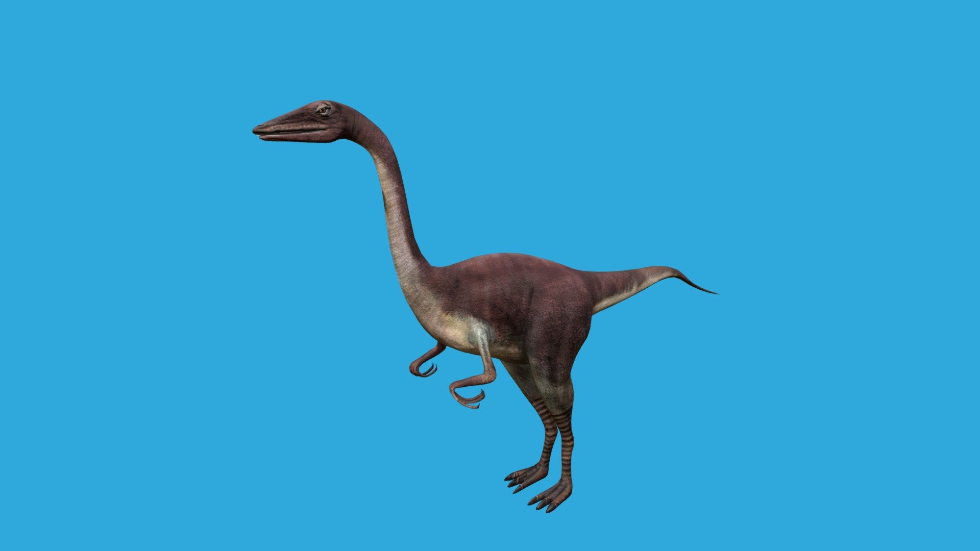 Compsognathus - Download Free 3D model by kenchoo [762fd4e] - Sketchfab