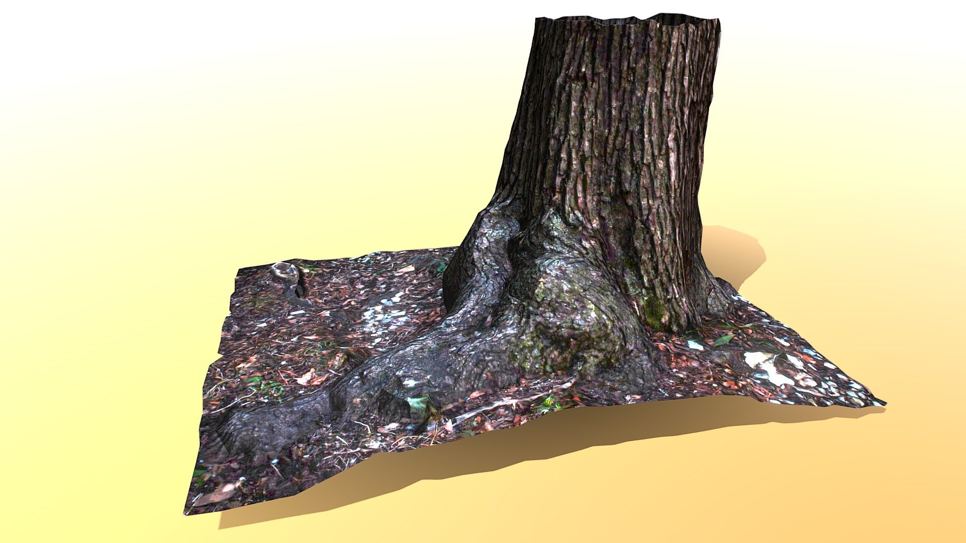 Tree Base Game Ready Scan - Download Free 3D model by Travis Hove ...