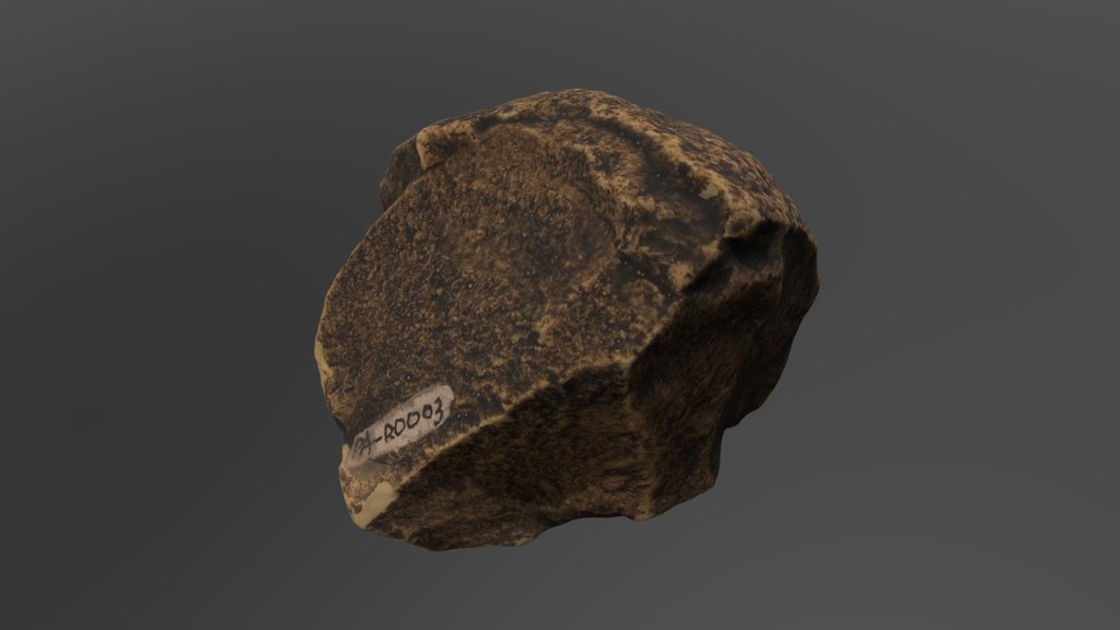 Australopithecus and Paranthropus - A 3D model collection by ...