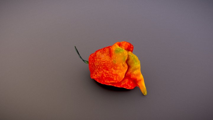Chilli 3D models - Sketchfab